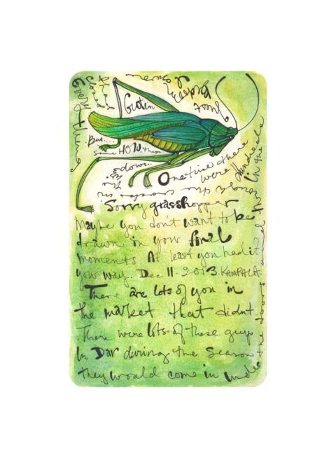 Art prints, limited edition archival wall art by Kathryn Ann Jankowski