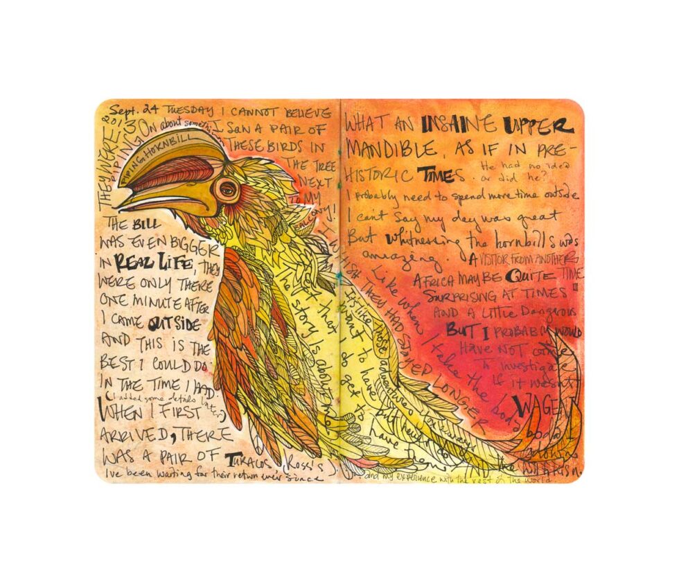Art prints, limited edition archival wall art by Kathryn Ann Jankowski