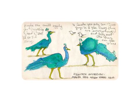 Art prints, limited edition archival wall art by Kathryn Ann Jankowski